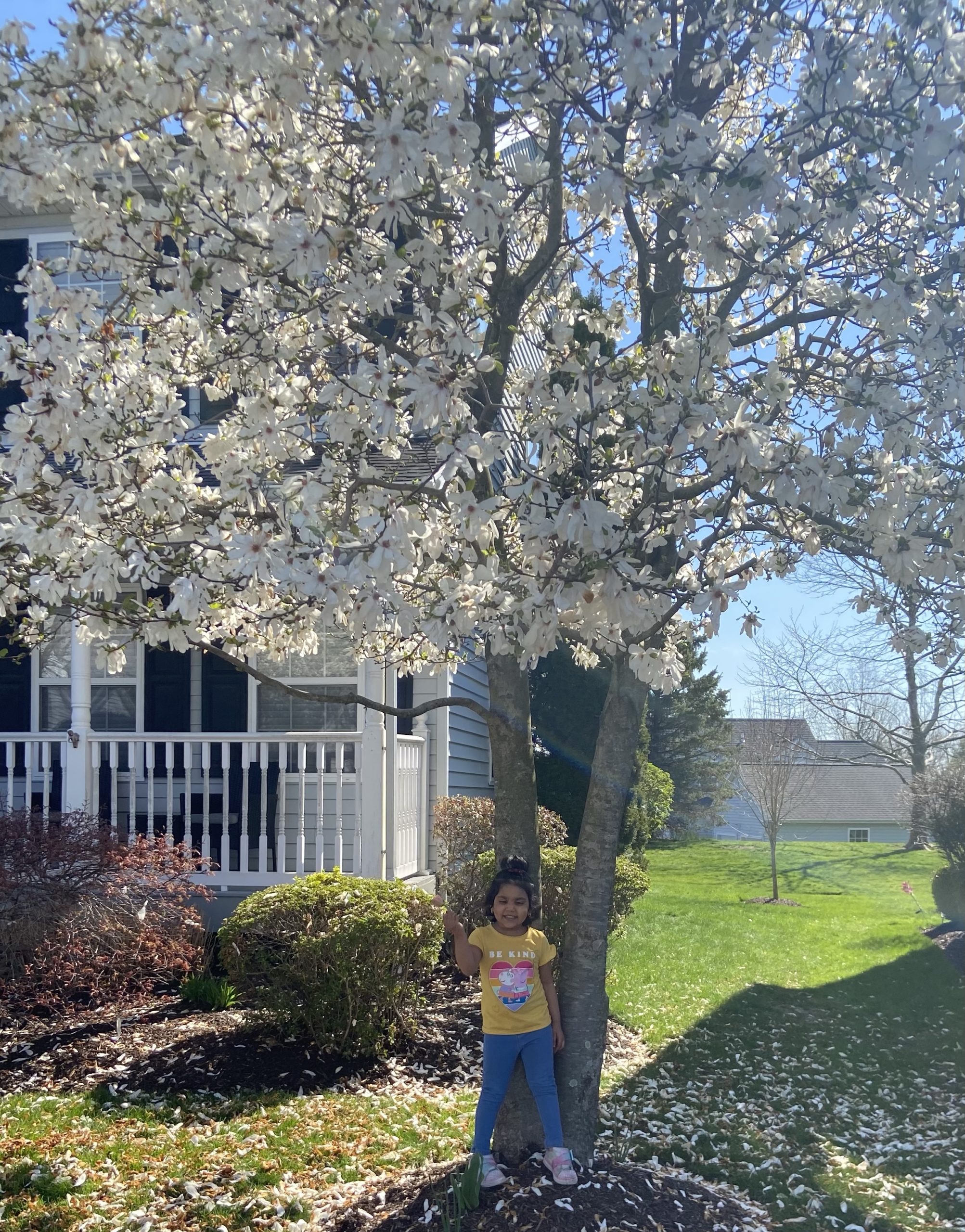 Insect Activities - Fun In Cocoon