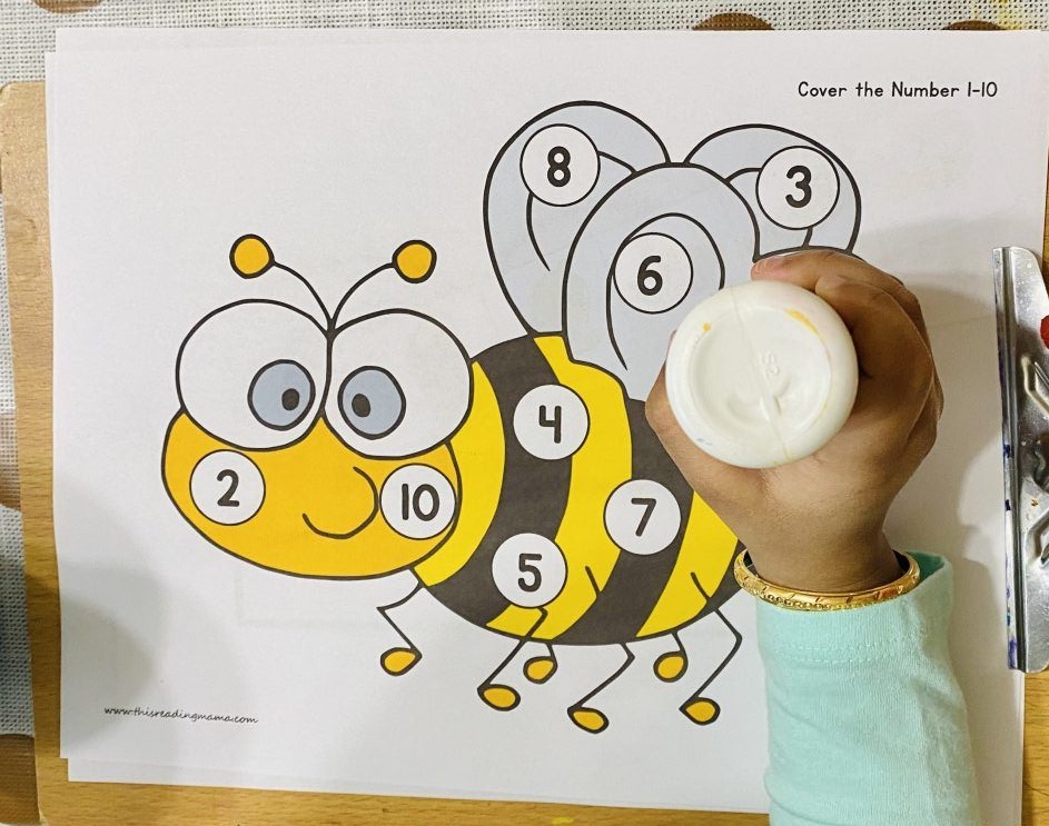 Letter B Activities - Fun In Cocoon