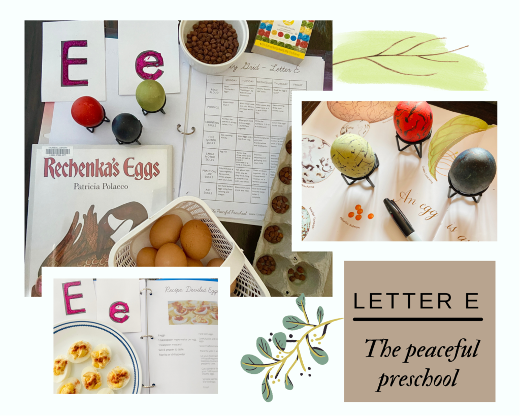 Letter E - Fun In Cocoon